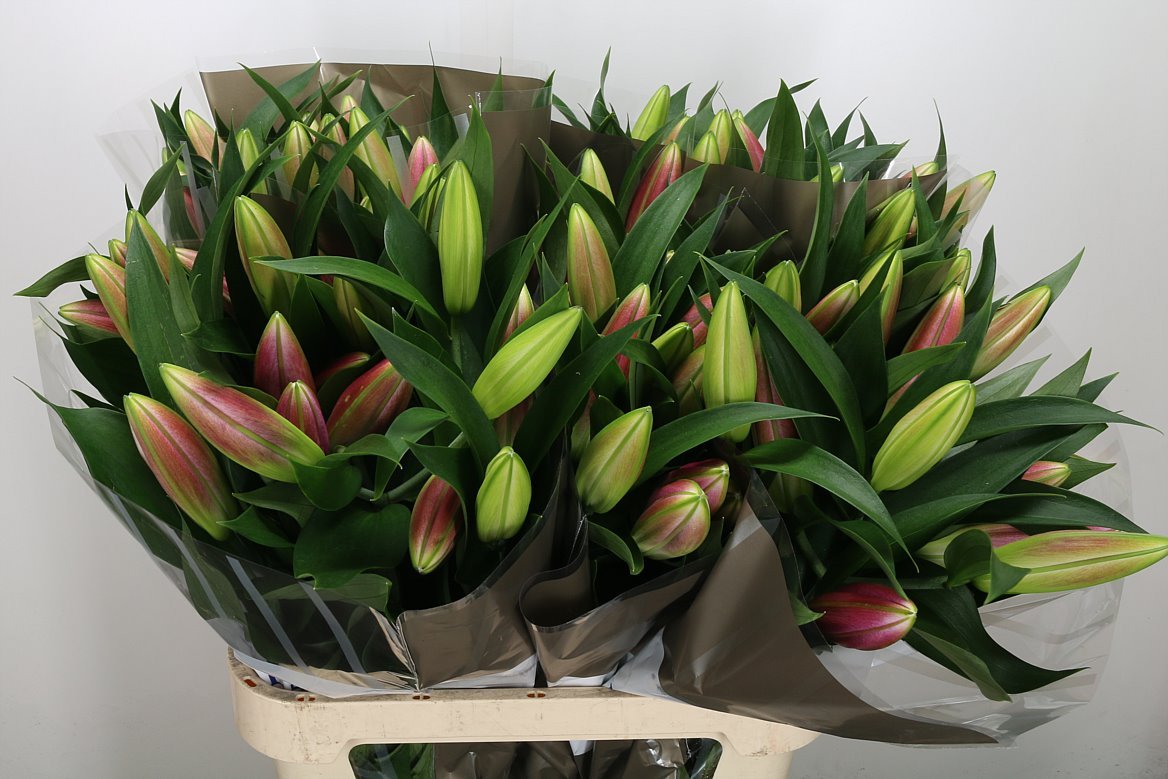 Flower Care - Care & Handling of packed flowers - Aisha Flowers