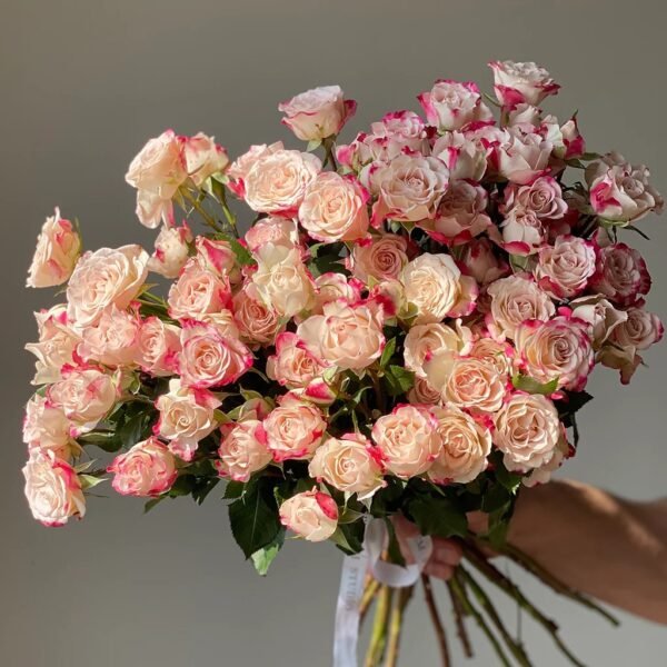 Reflex - Spray roses - Aisha Flowers
