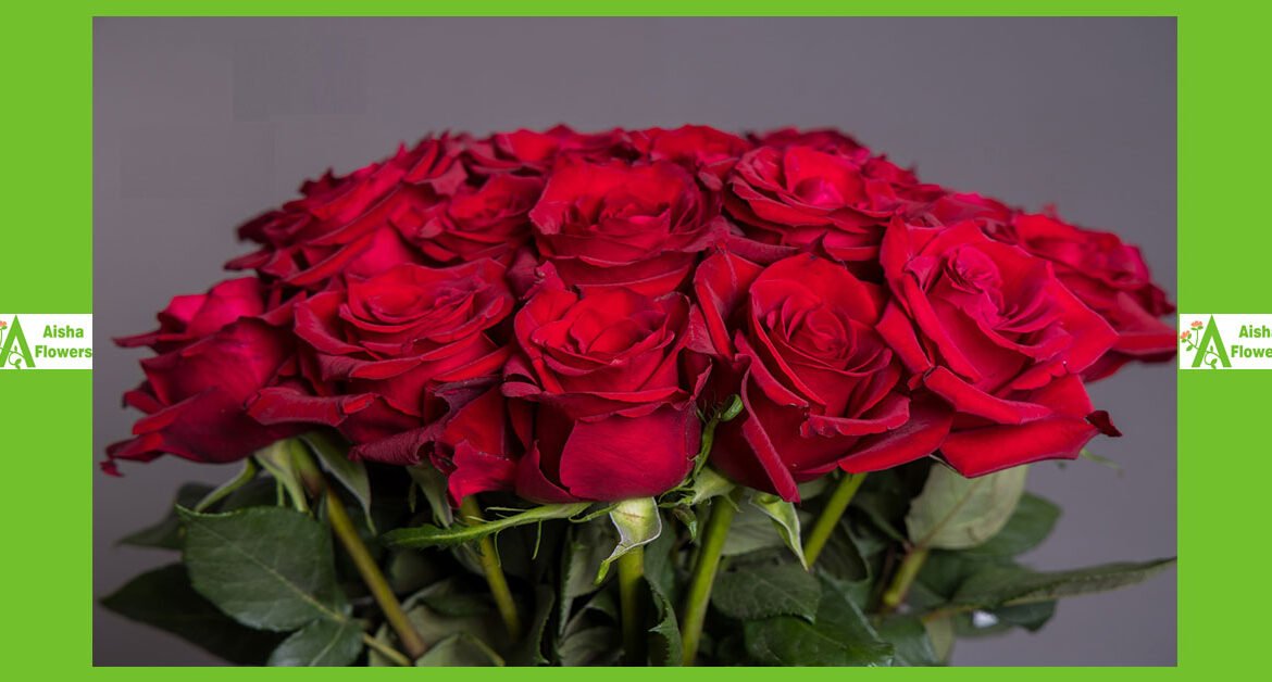 Red Roses from Kenya - Aisha Flowers